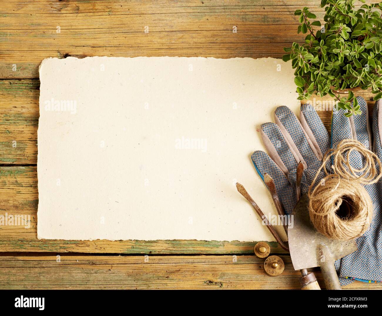 Gardening tools and blank paper Stock Photo - Alamy