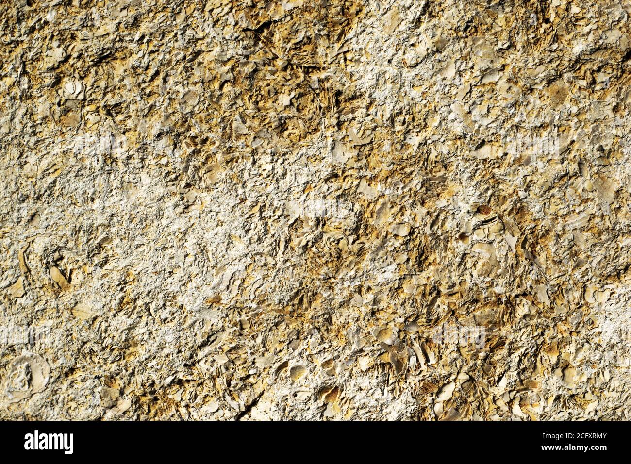 old weathered shell stone surface background texture backdrop Stock ...