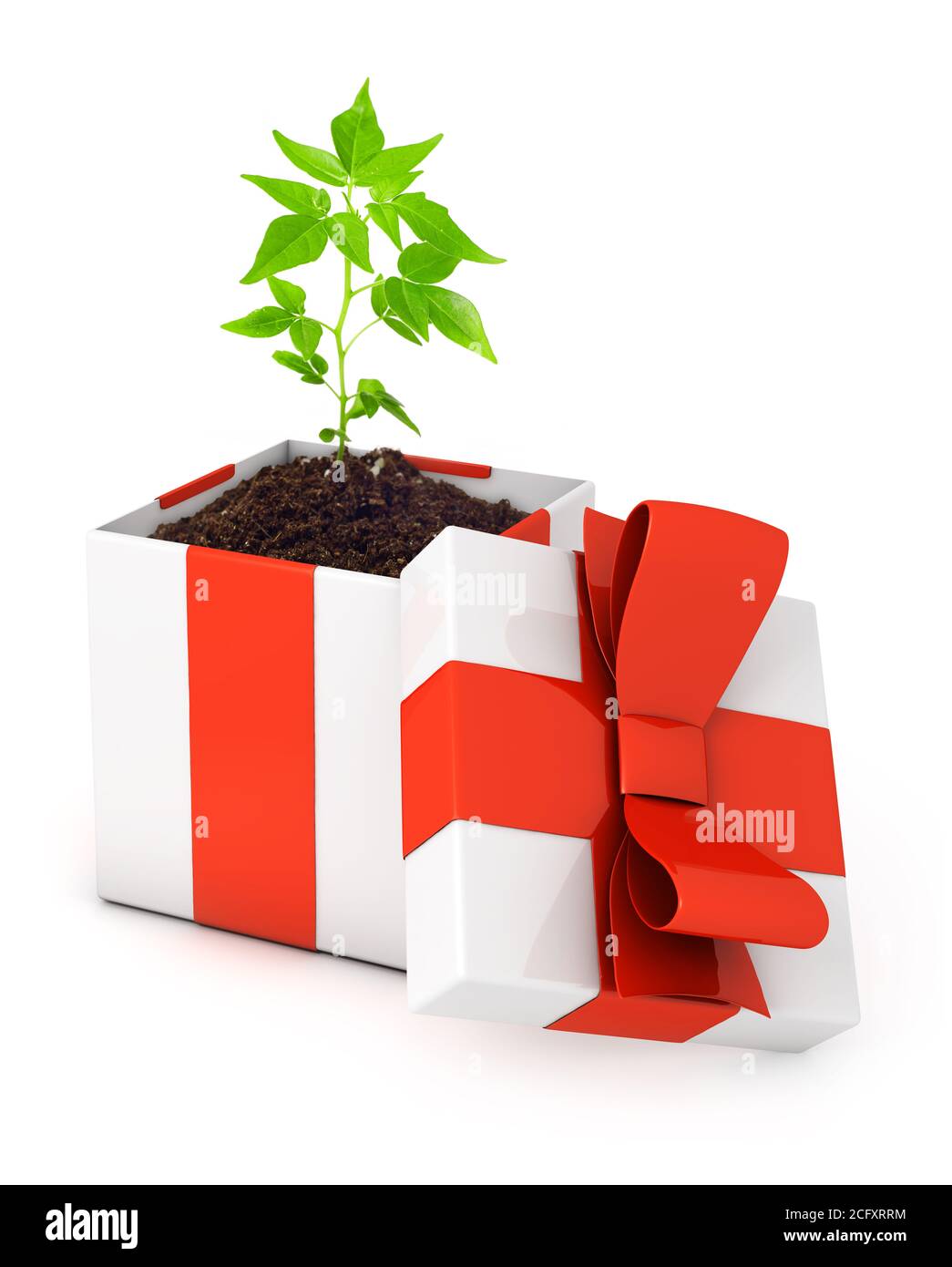 Tree in a gift box, white background Stock Photo - Alamy