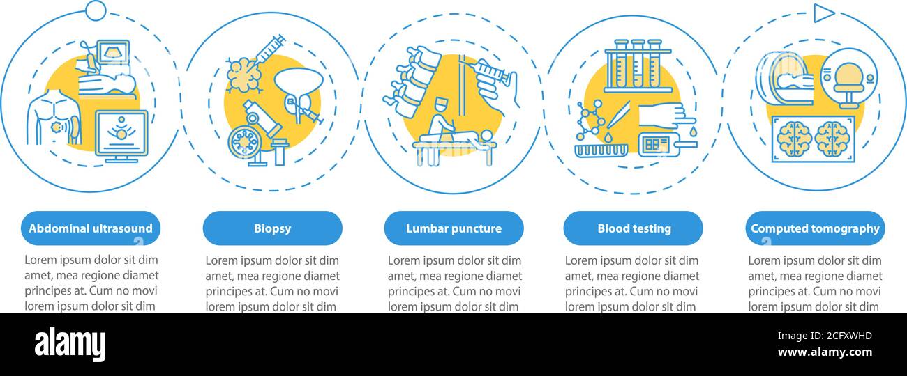 Diagnostic procedures vector infographic template Stock Vector Image ...