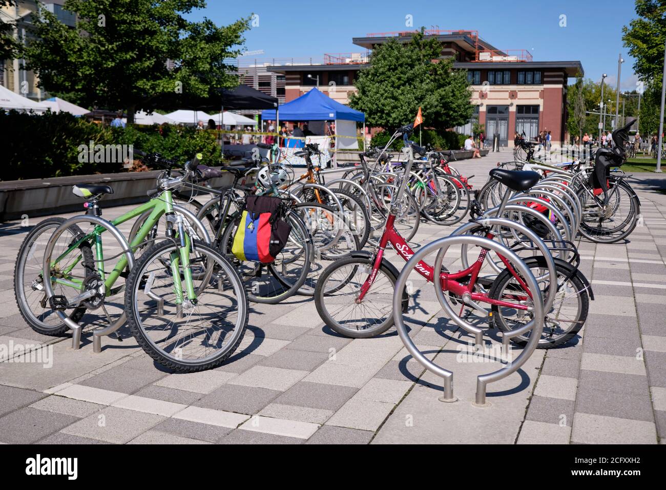 Multiple bicycles locked on rack at Lansdowne park on Sunday Stock ...