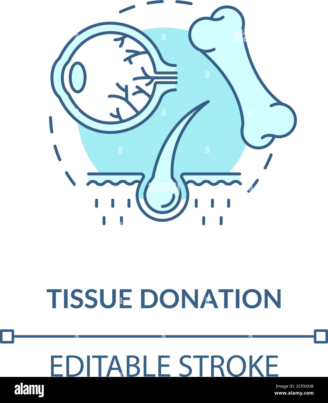 Tissue donation concept icon Stock Vector Image & Art - Alamy