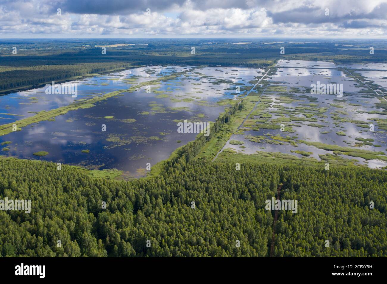 Aerial view of flooded Seda swamp (Sedas purvs) water lakes Stock Photo ...