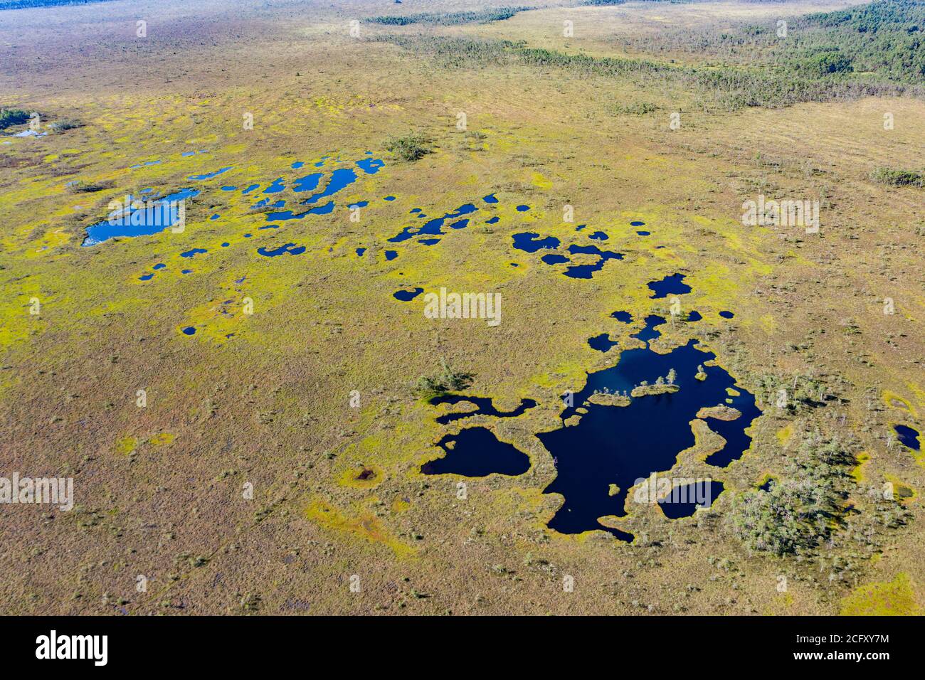 Aerial view over peat-bog landscape with lake and pool patterns Stock ...