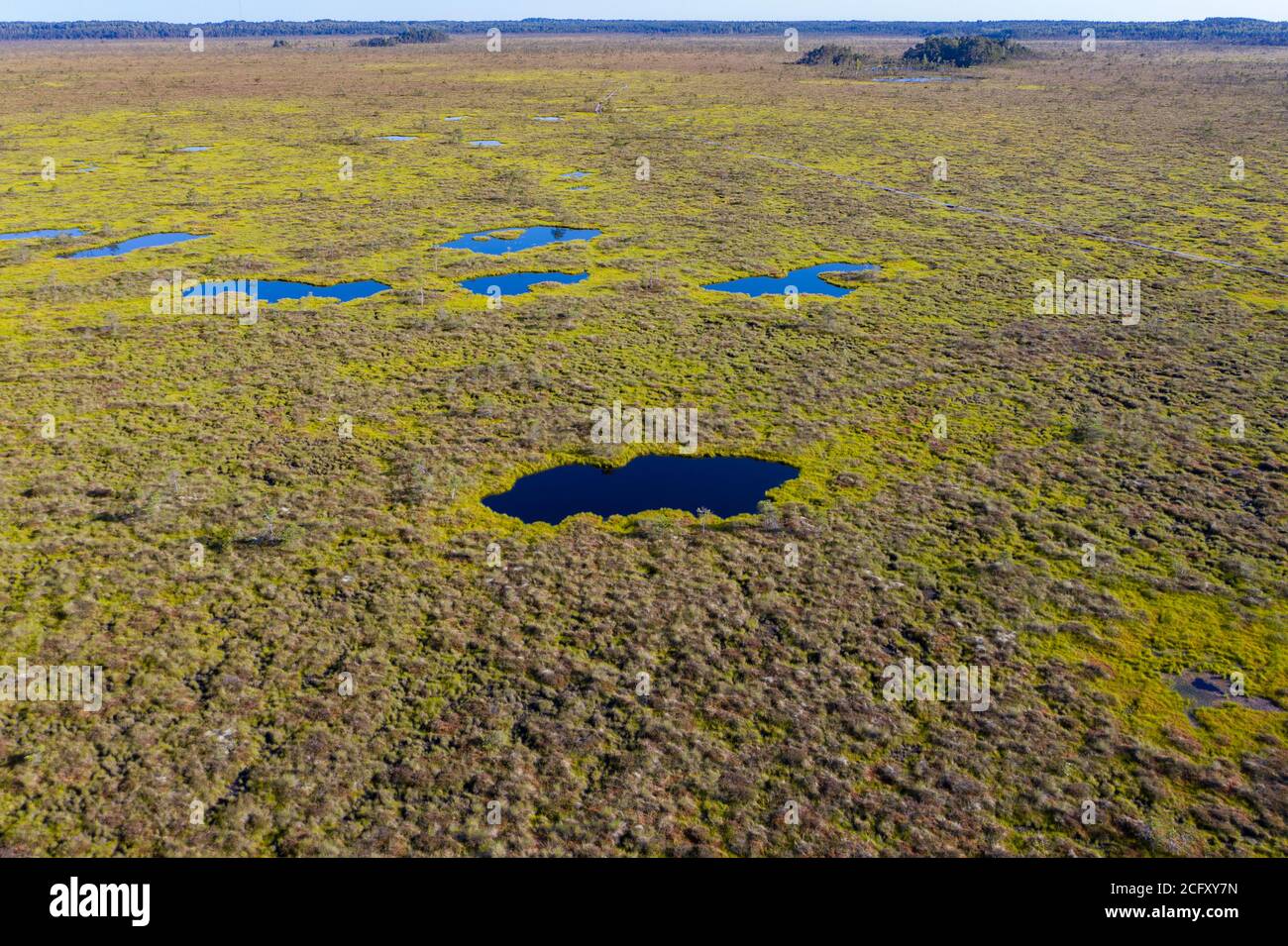 Aerial view over peat-bog landscape with lake and pool patterns Stock ...