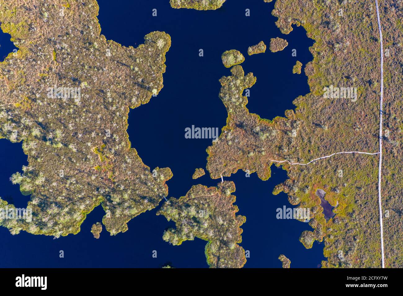Aerial top down view over peat-bog landscape with lake and pool ...