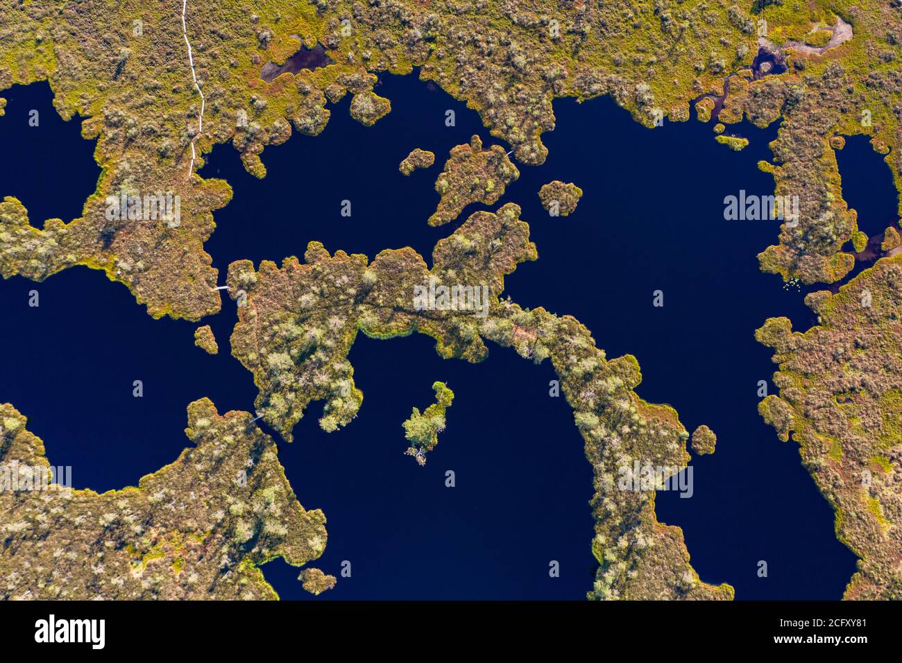 Aerial top down nature patterns hi-res stock photography and images - Alamy