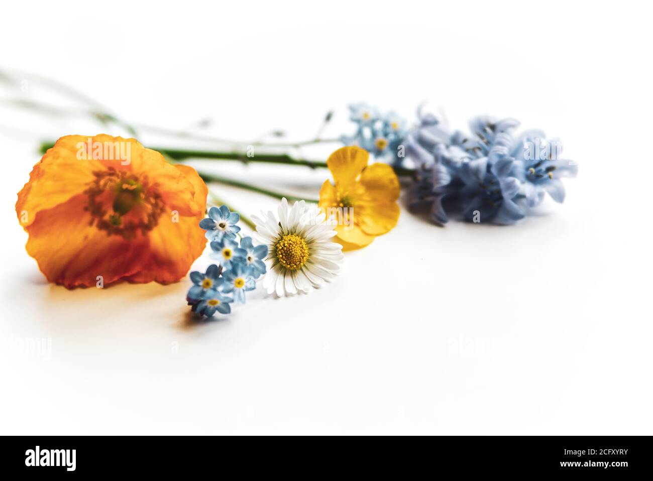 With fallen flowers hi-res stock photography and images - Alamy