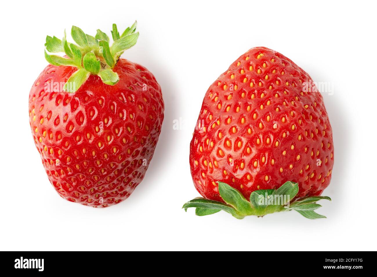 Two ripe strawberry fruits isolated on white background. Clipping path ...