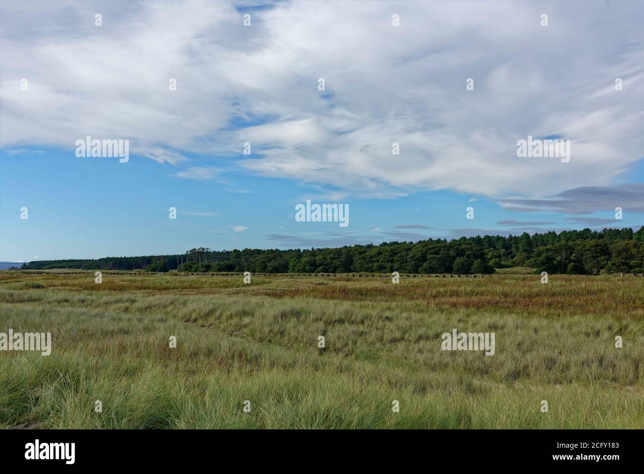 Tank Traps High Resolution Stock Photography and Images - Alamy