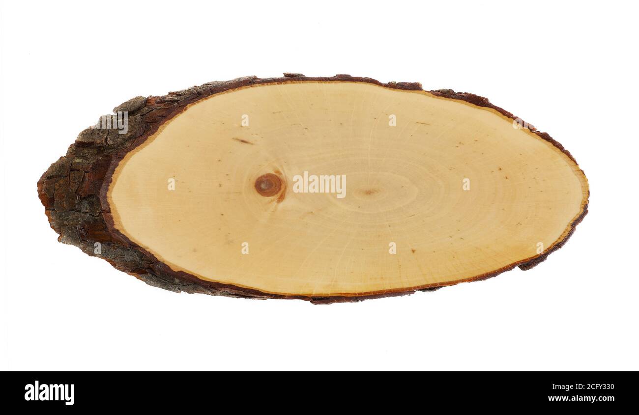 Cross section of wood grain Cut Out Stock Images & Pictures - Alamy