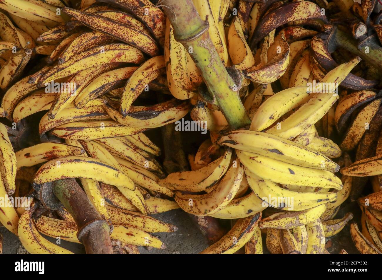 Indonesia supermarket people hi-res stock photography and images - Alamy