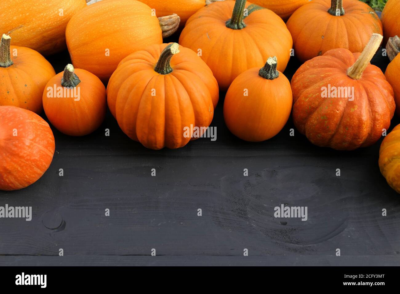 Autumn composition mini pumpkins different hi-res stock photography and ...