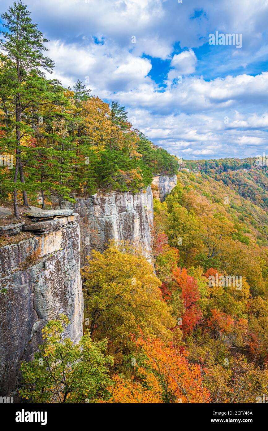 West Virginia Landscape