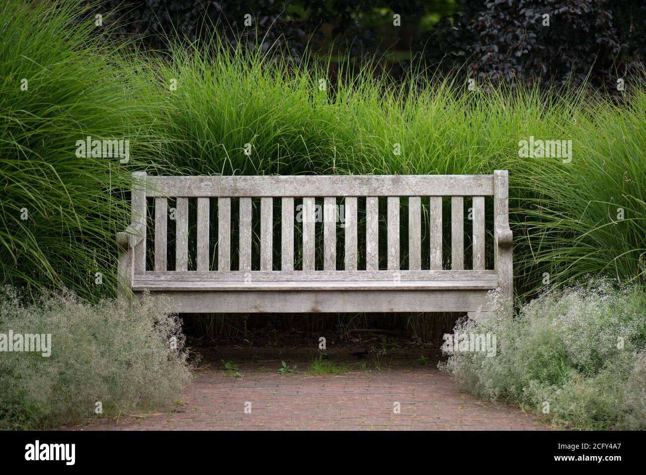 Secluded bench hi-res stock photography and images - Alamy