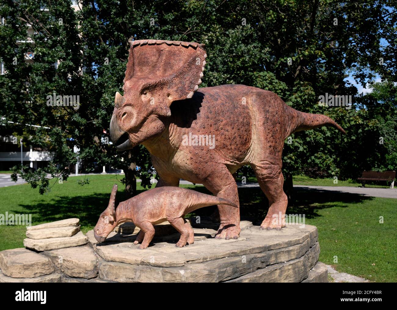 Chasmosaurus hi-res stock photography and images - Alamy