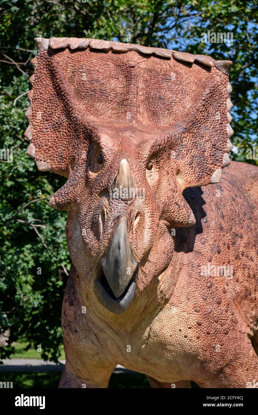 Chasmosaurus hi-res stock photography and images - Alamy