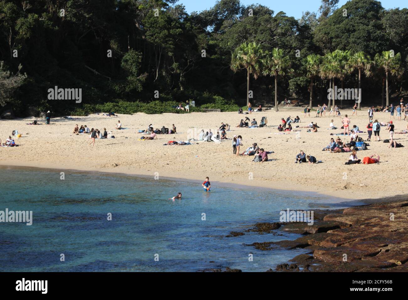 Shelly beach manly hi-res stock photography and images - Alamy