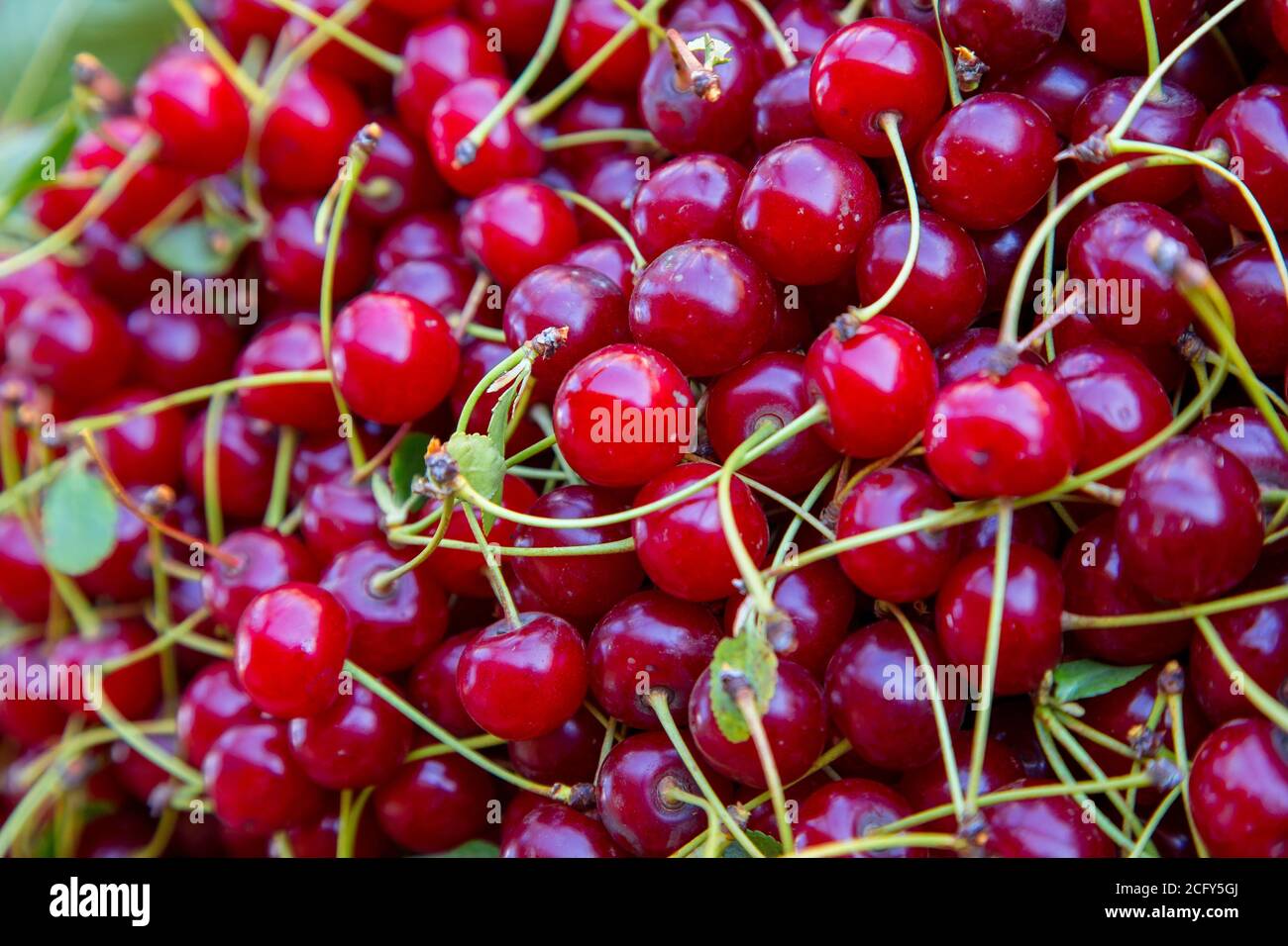 Cherry background. Natural farm berry Stock Photo - Alamy