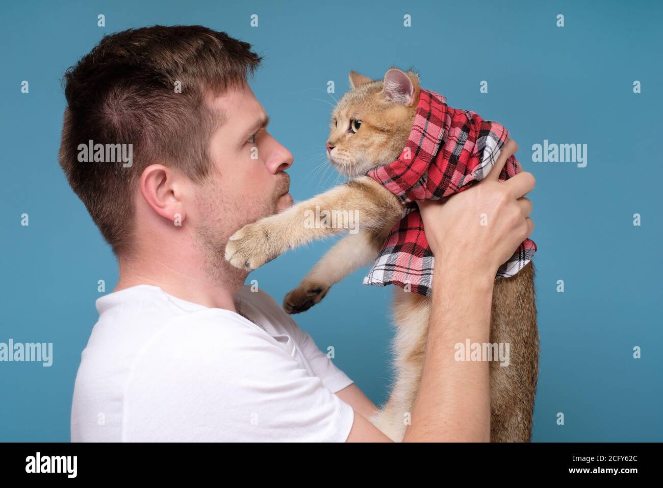 Caucasian young man holding a british cat scolding him for prank Stock ...