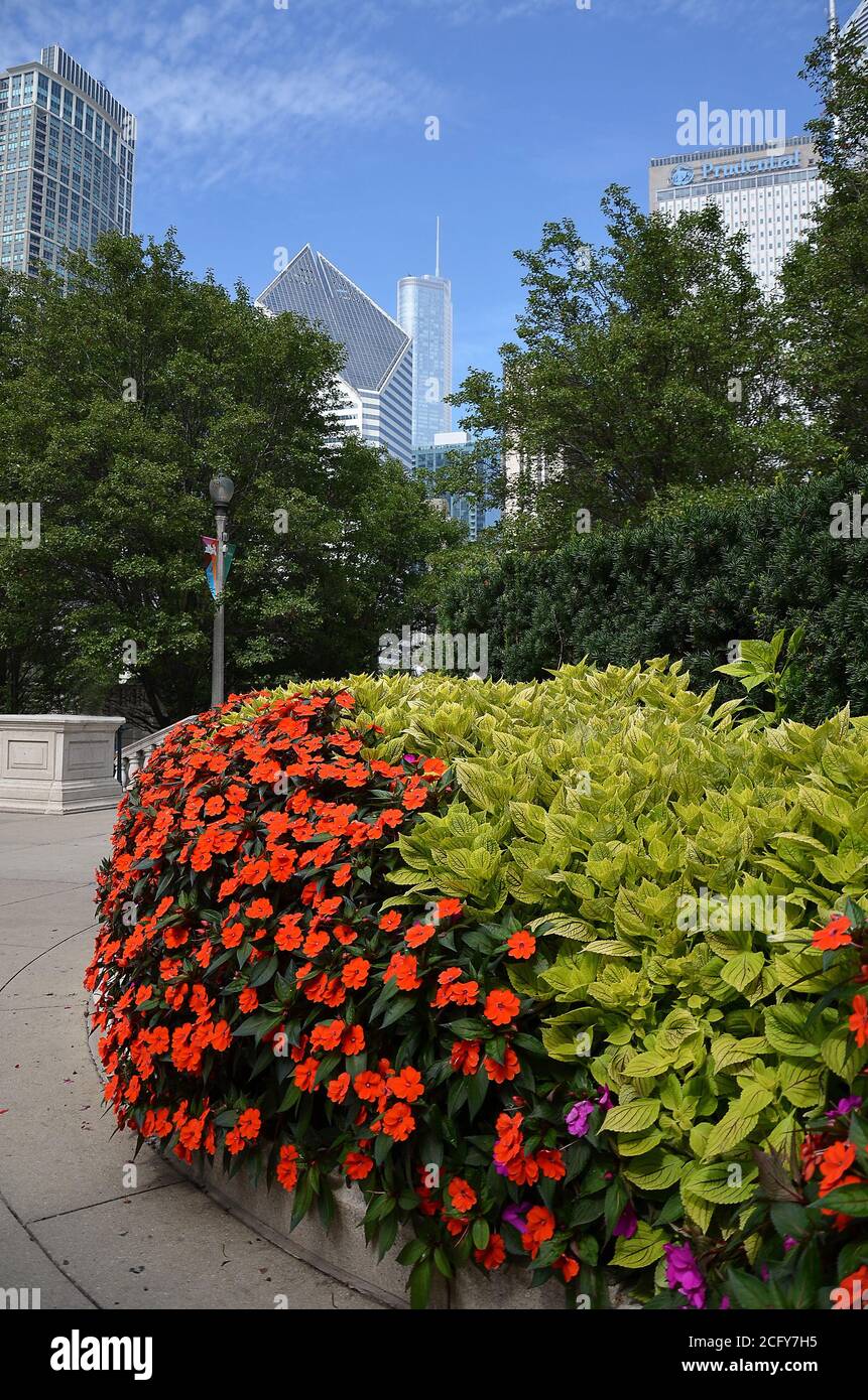 Chicago Millennium Park with beautiful flowers Stock Photo - Alamy