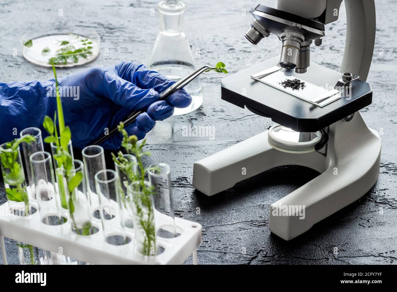 Biologist researching plants with microscope in biological chemistry ...