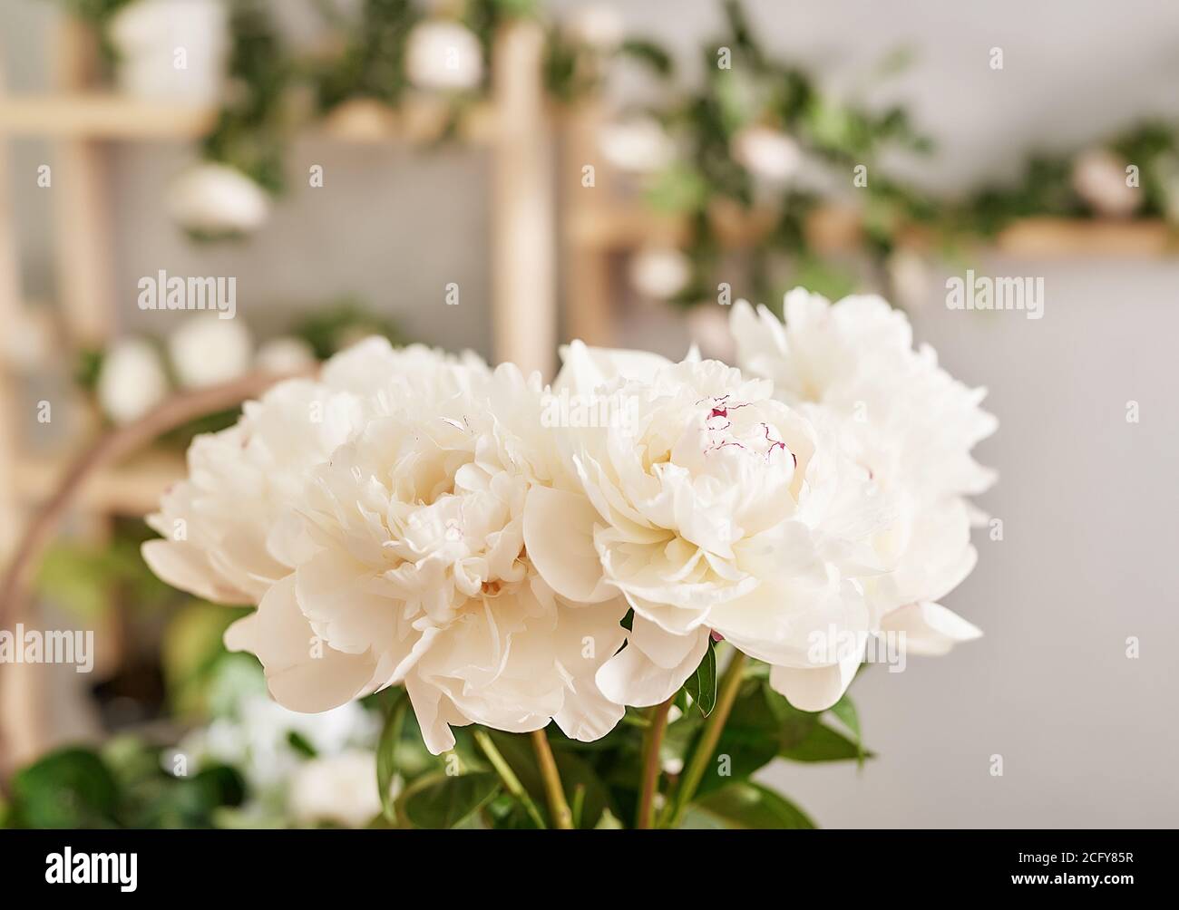 Flower shop interior hi-res stock photography and images - Alamy