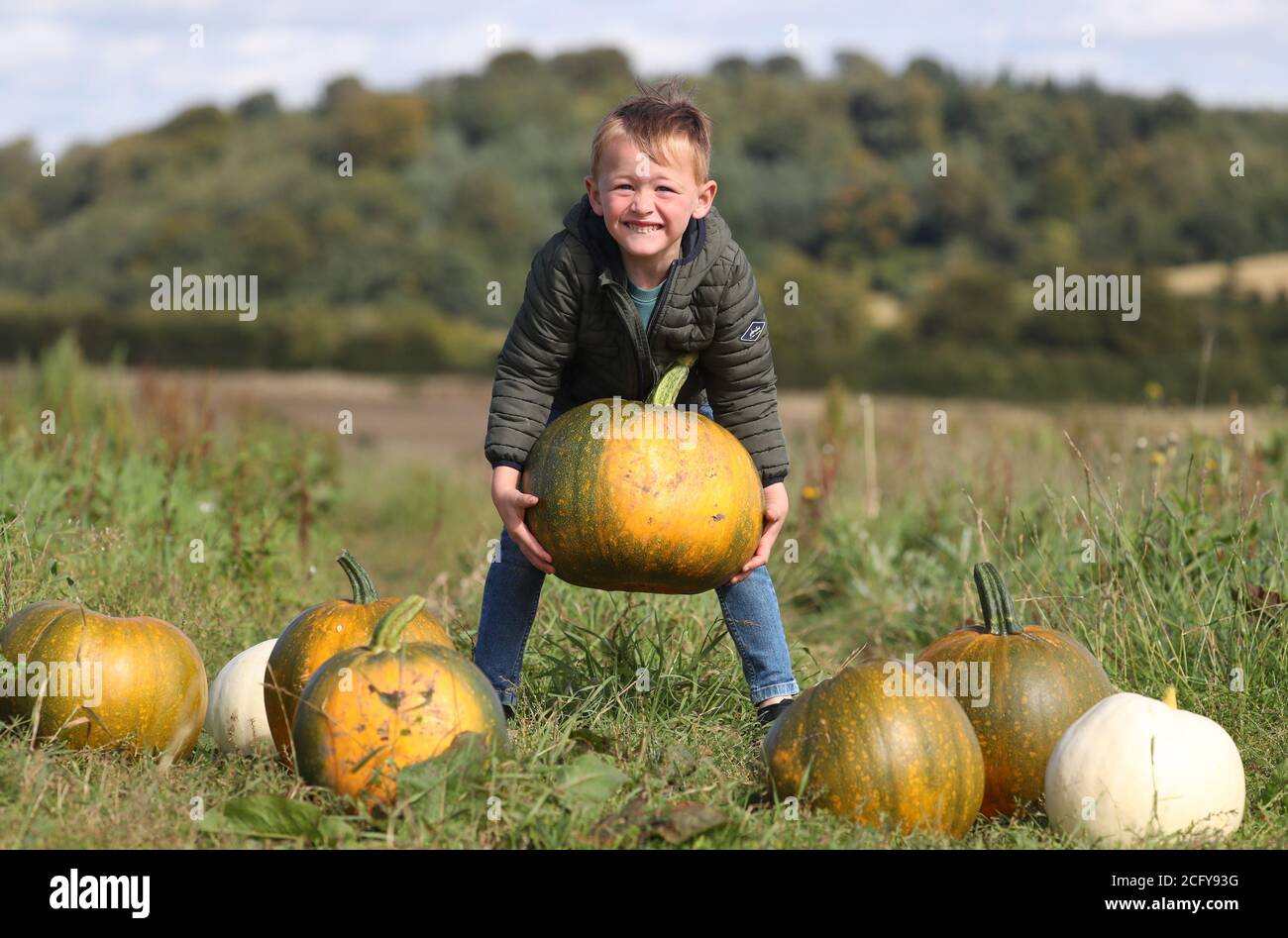 Loads Of Pumpkins High Resolution Stock Photography and Images - Alamy