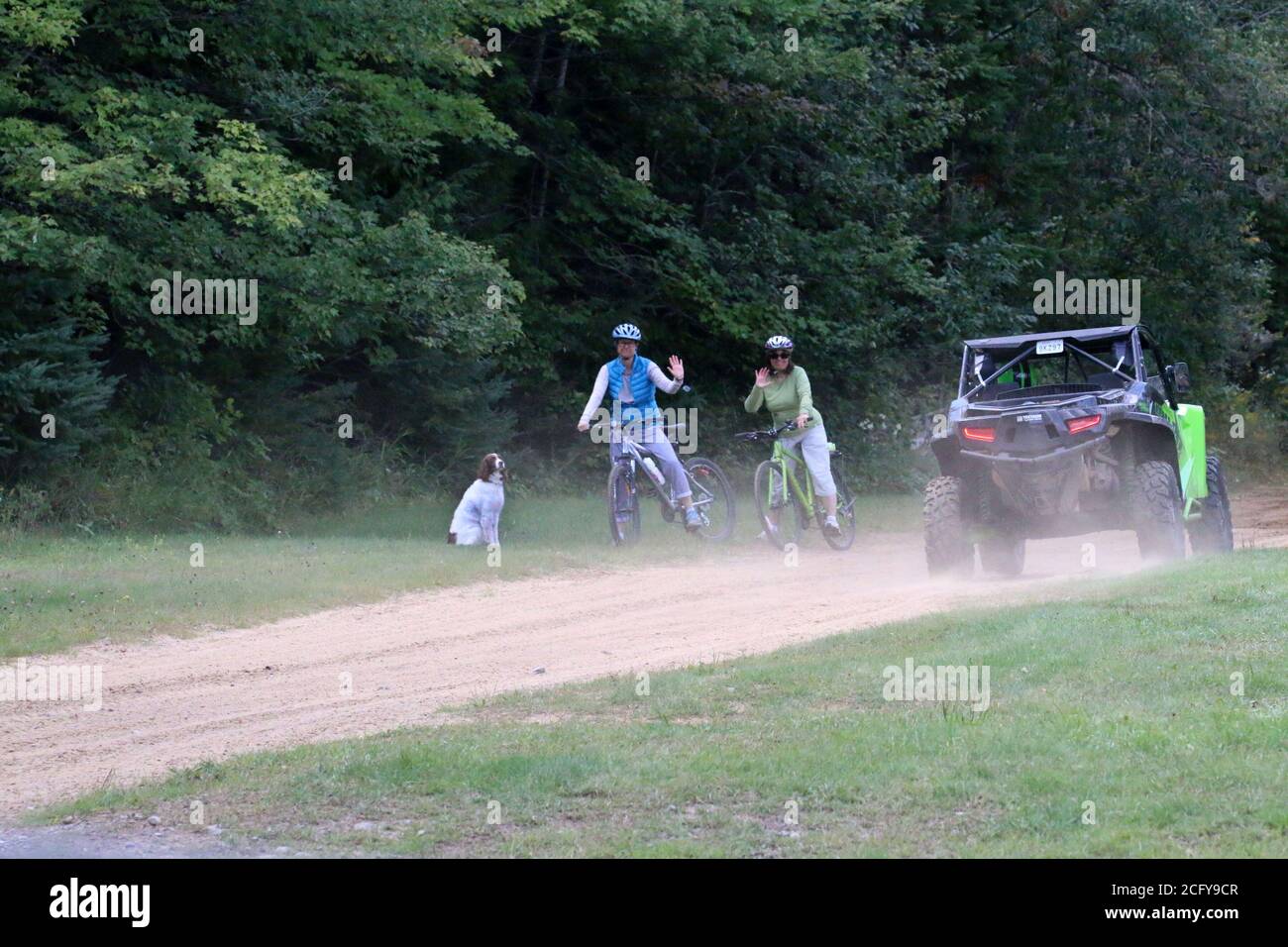 Atv trails through the woods hi-res stock photography and images - Alamy