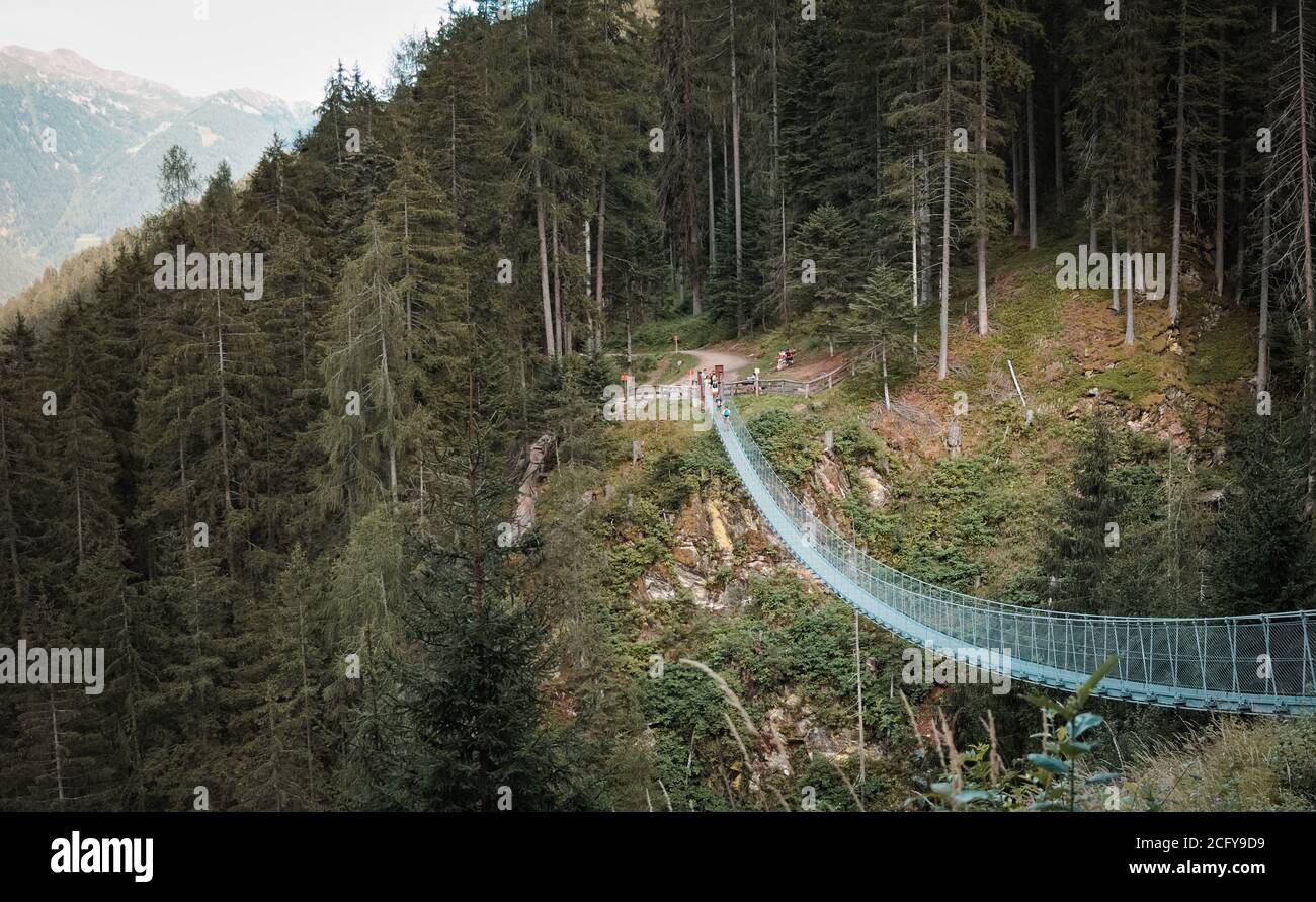 People walking on a steel tibetan bridge inside a forest in the italian ...