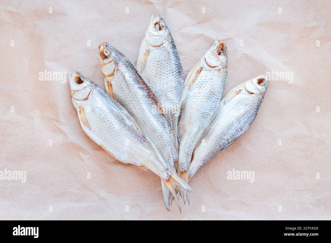 Dried fishes template banner on craft paper background with empty space ...
