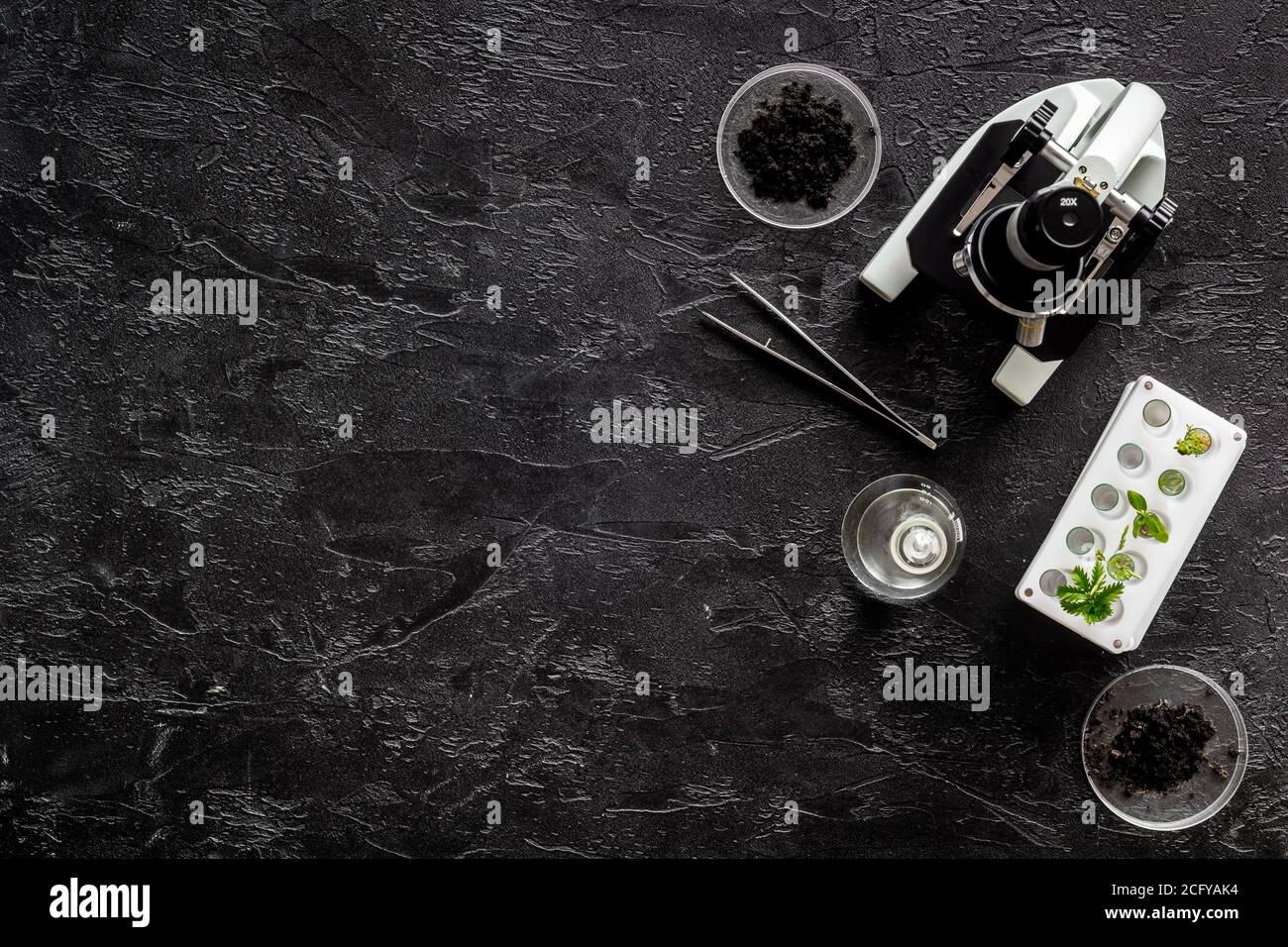 Plants with microscope in scientific laboratory. Top view Stock Photo ...