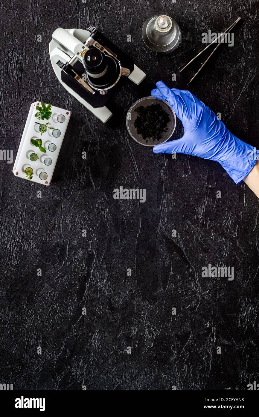 Scientist tests plants microscope hi-res stock photography and images ...