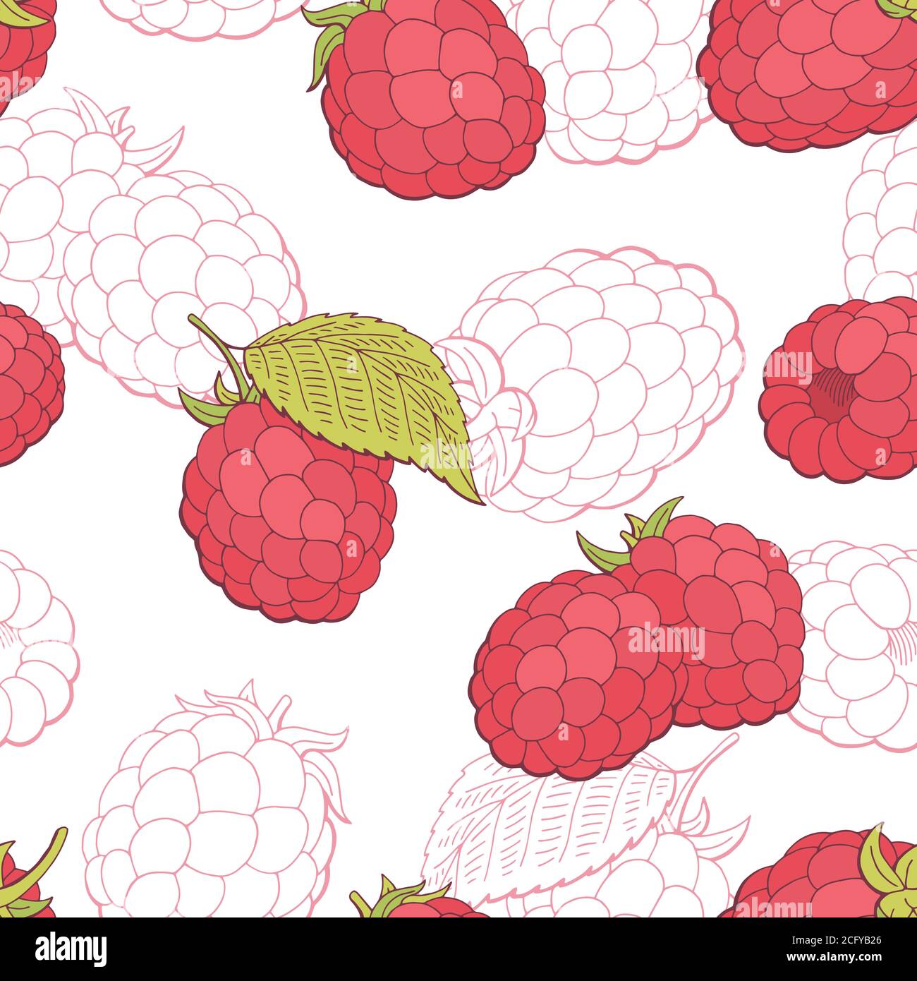 Raspberry graphic red color seamless pattern sketch illustration vector ...
