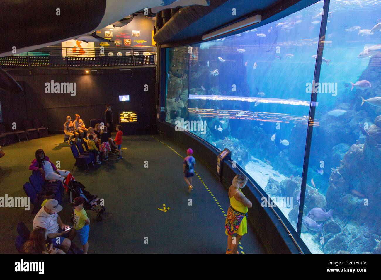 National marine Aquarium Stock Photo - Alamy