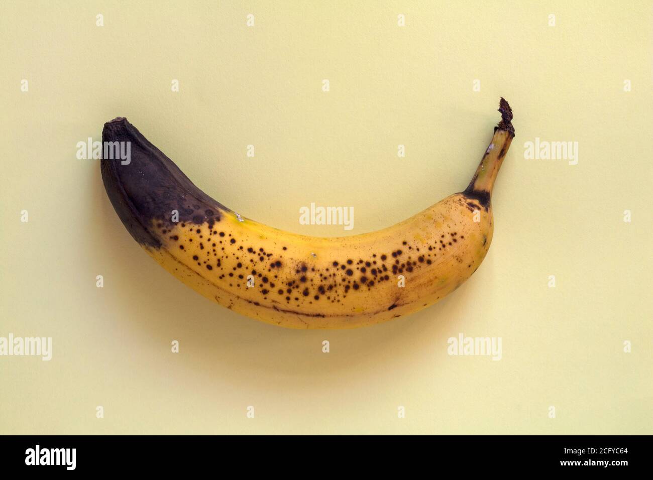 Single over ripe banana in skin going black at one end isolated on pale ...