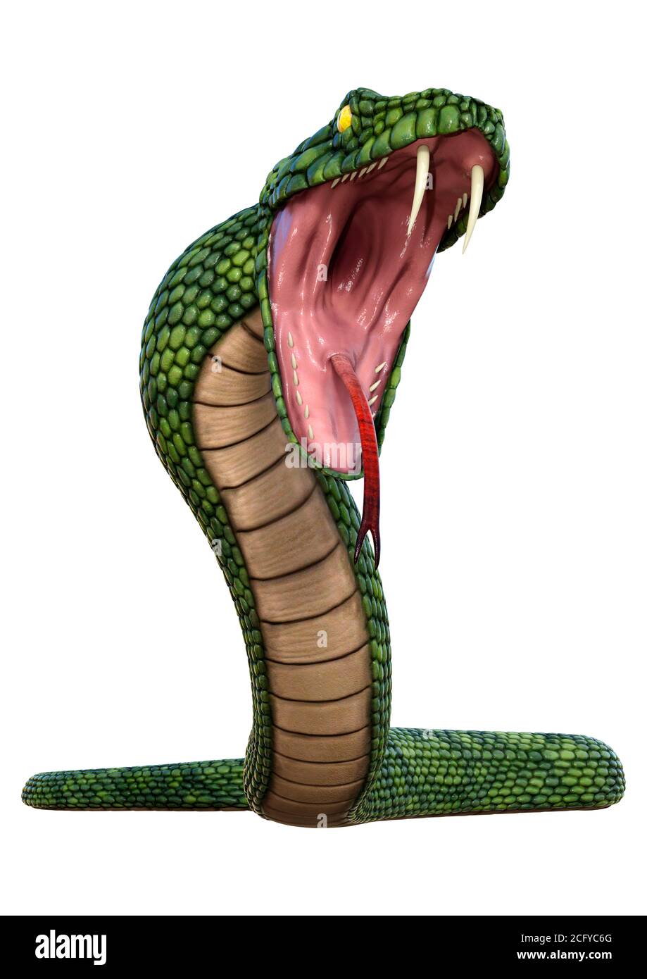 3D rendering of a green giant fantasy snake isolated on white ...