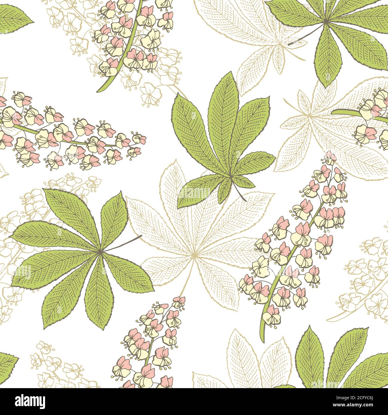 Chestnut blossom white Stock Vector Images - Alamy