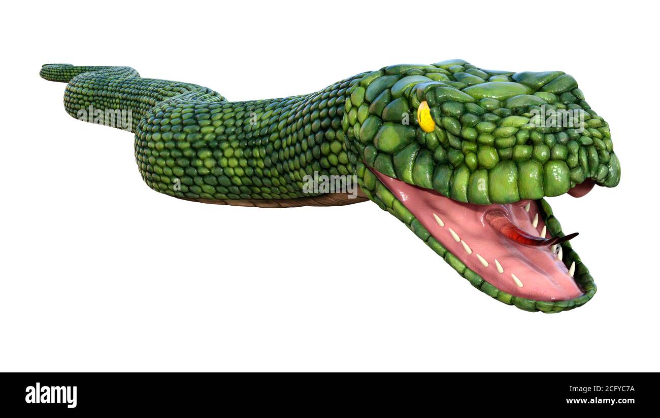 3D rendering of a green giant fantasy snake isolated on white ...