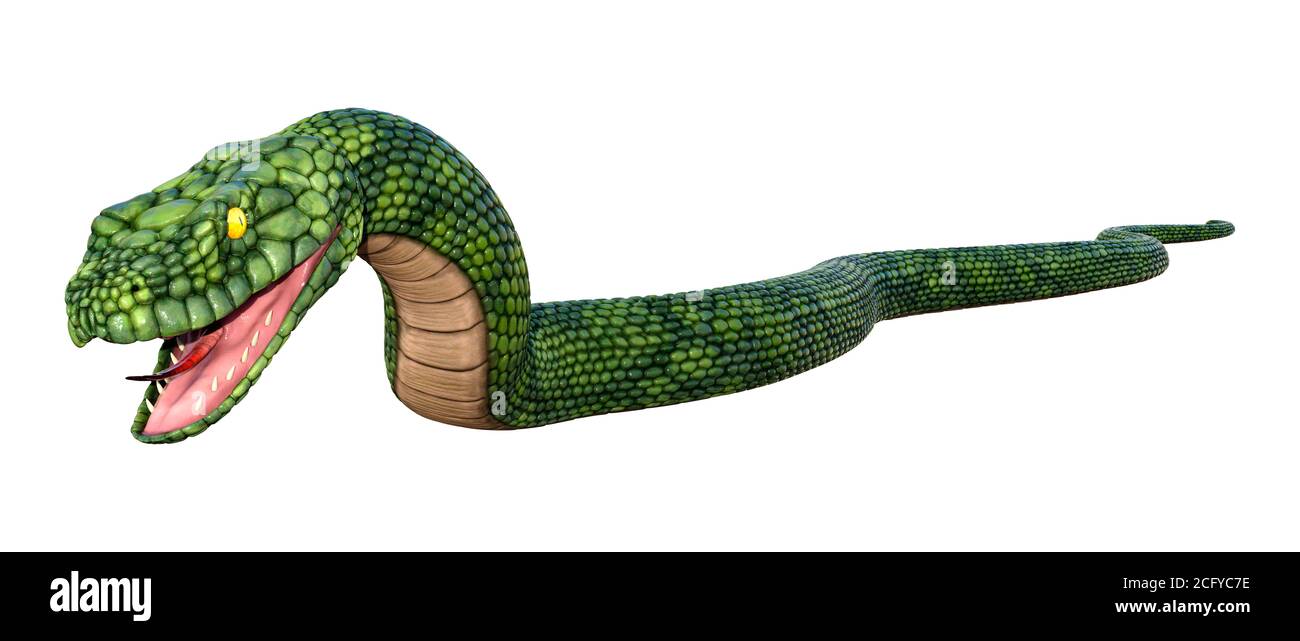 3D rendering of a green giant fantasy snake isolated on white ...