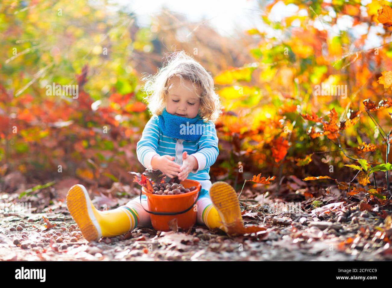 Child holding acorn white background hi-res stock photography and ...
