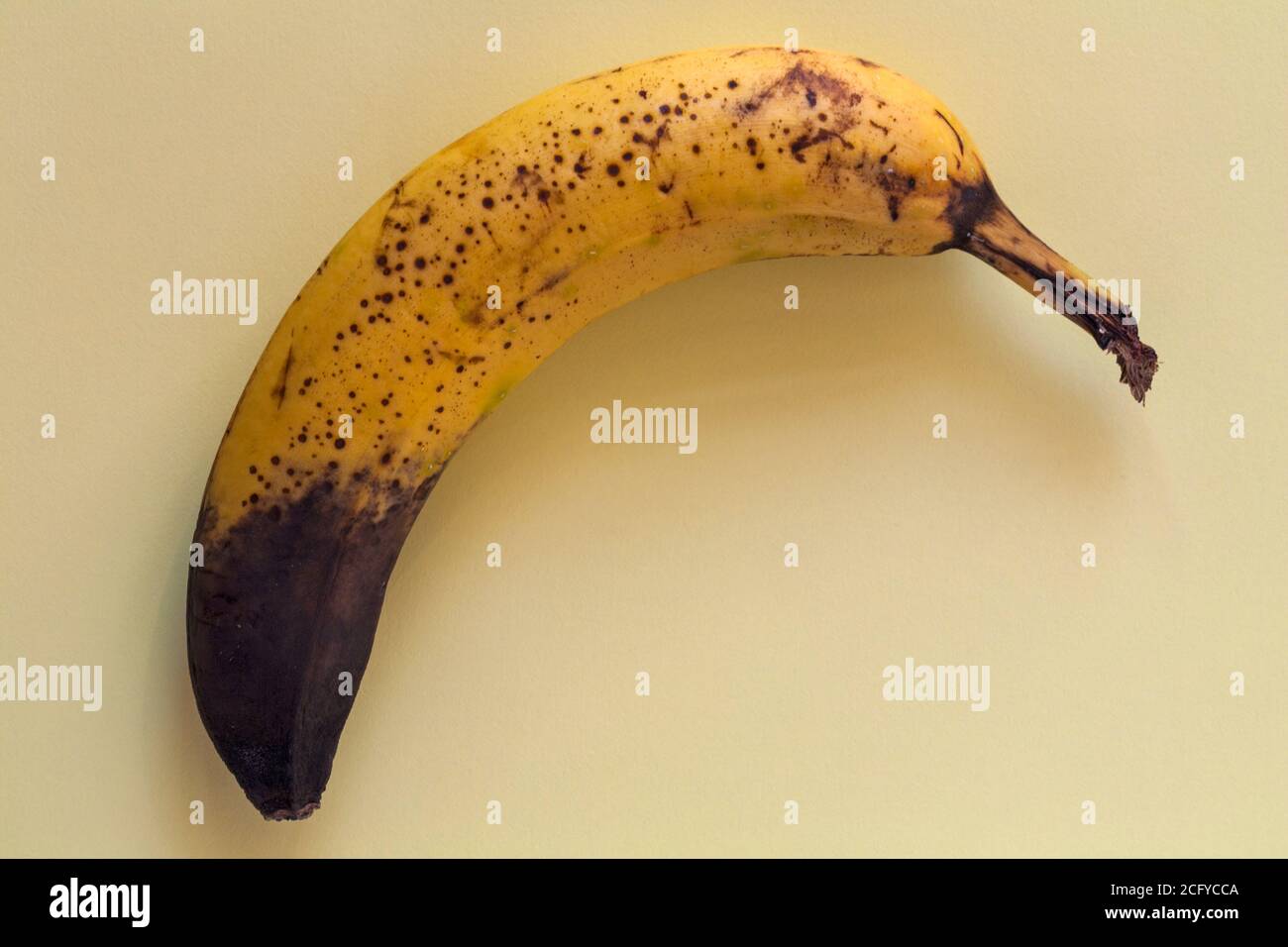 Single over ripe banana in skin going black at one end isolated on pale ...