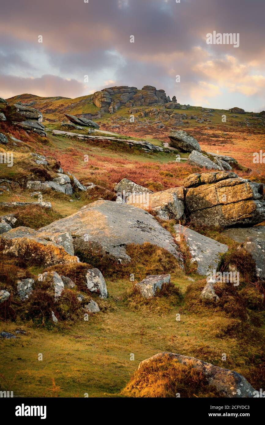 dartmoor national park at sunset devon england uk Stock Photo - Alamy