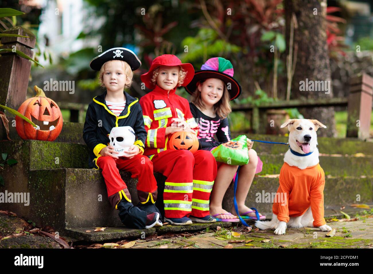 Kids trick or treat in Halloween costume. Children in colorful dress up ...