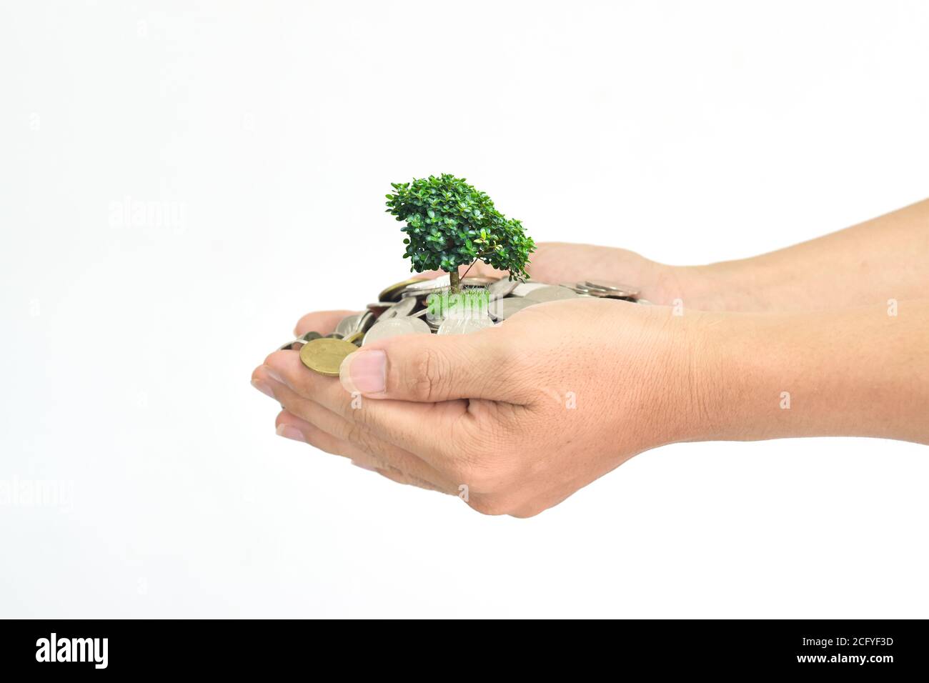 Hands holding coin stack and small tree on white background. Growing ...