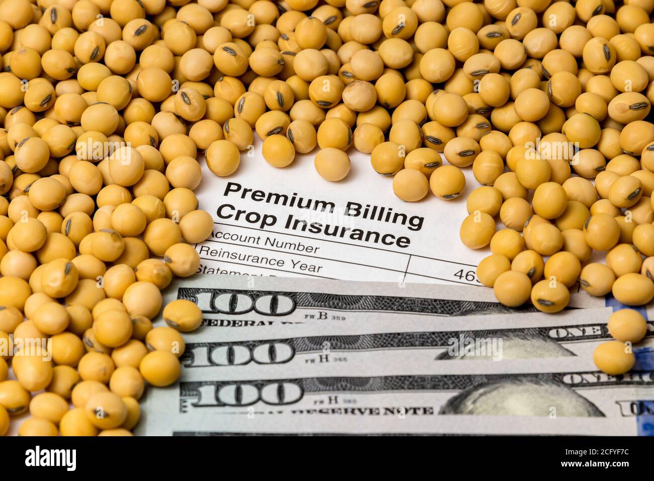 Crop insurance, premium bill, soybeans and 100 dollar bills. Concept of ...