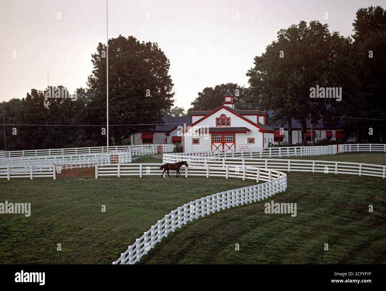 CALUMET THOROUGHBRED HORSE FARM STABLES, BLUEGRASS COUNTRY, KENTUCKY ...