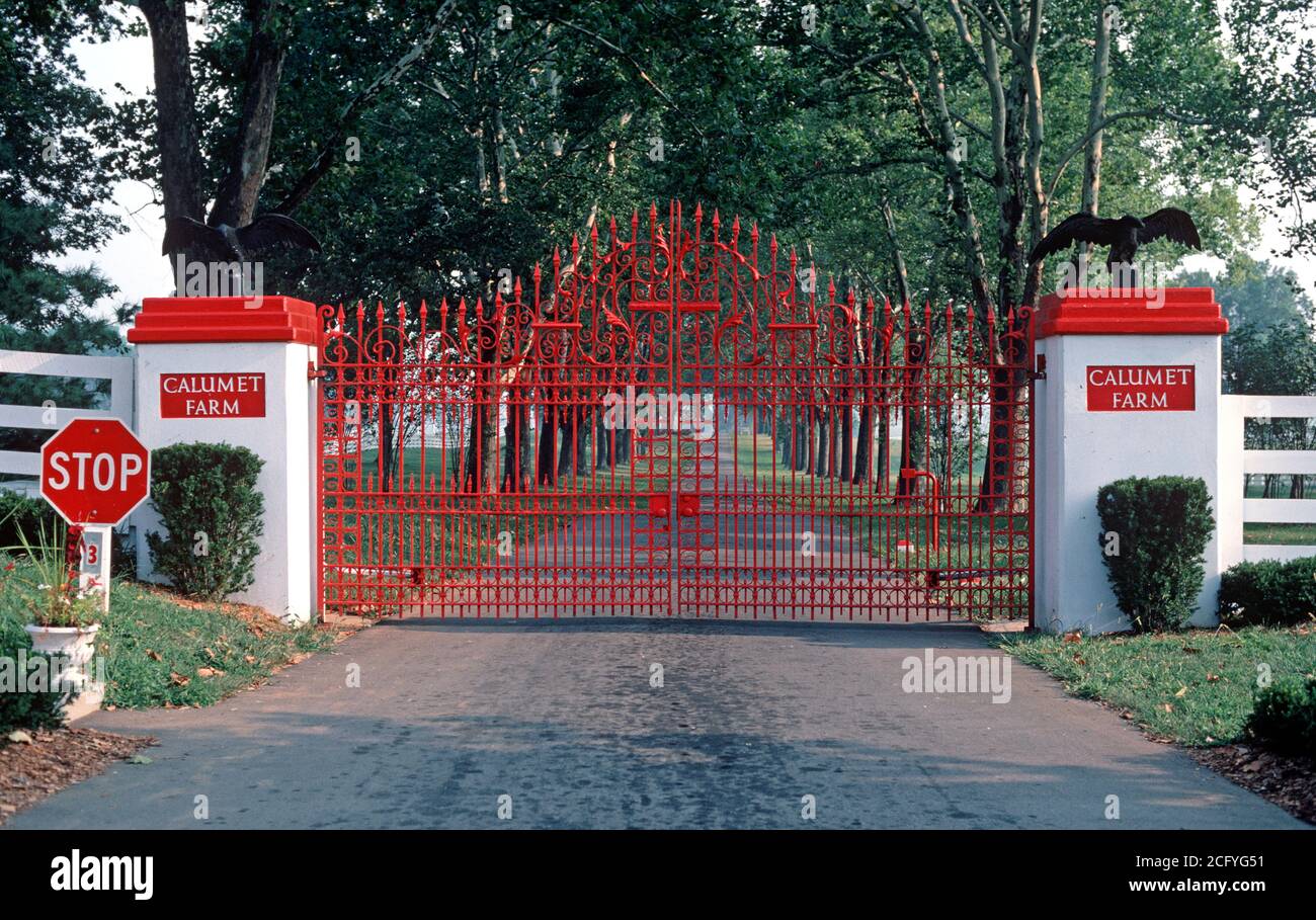 Calumet farm thoroughbred horse farm hi-res stock photography and ...