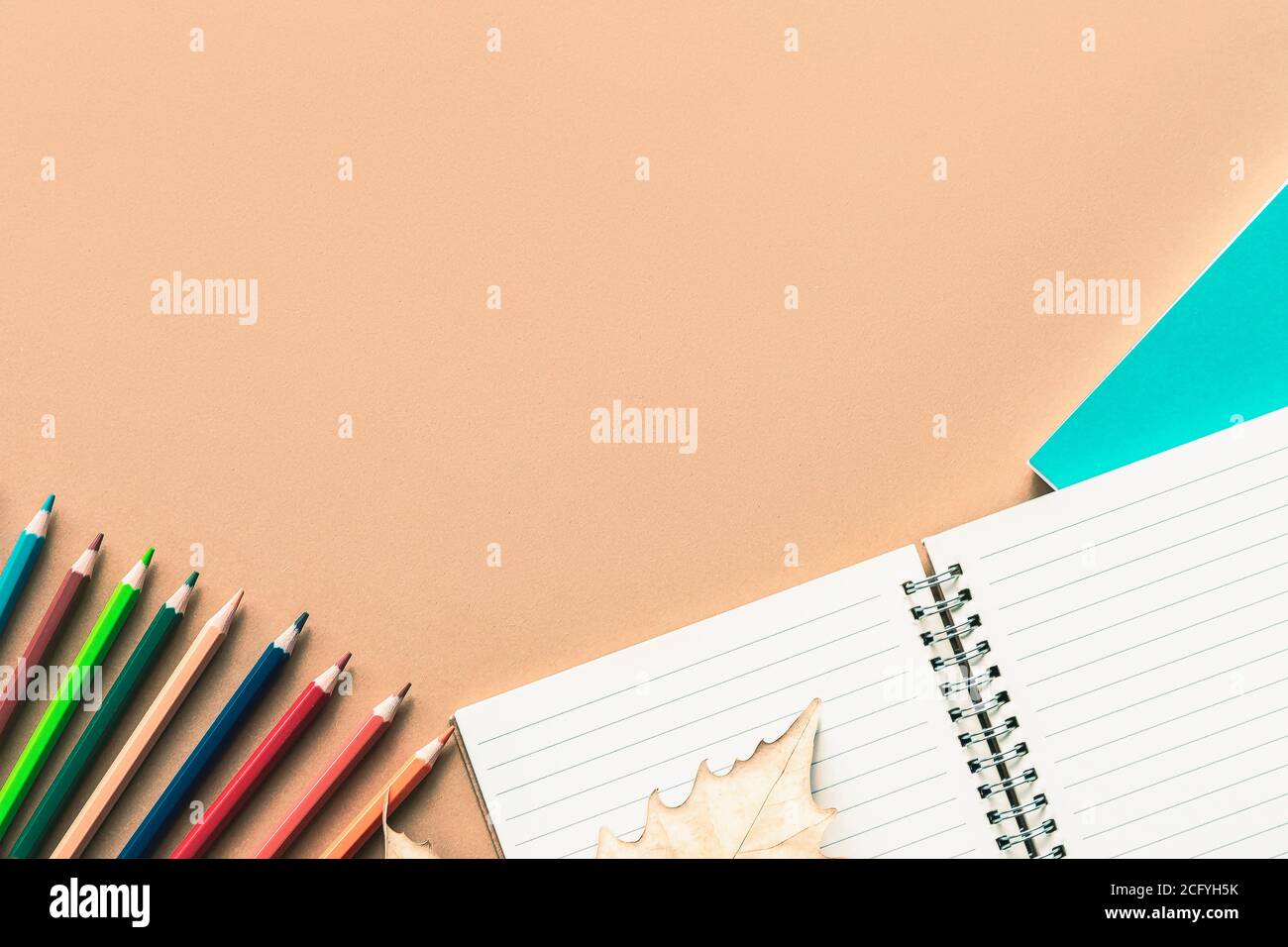 School supplies, colorful pencils, notepad and autumn leaf on light ...