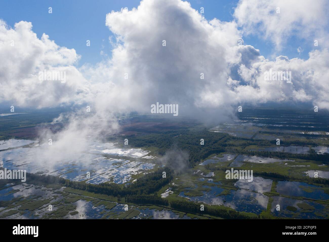 Aerial view of flooded Seda swamp (Sedas purvs) water lakes and clouds ...